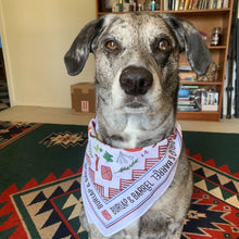 Spice Bandana – Burlap & Barrel