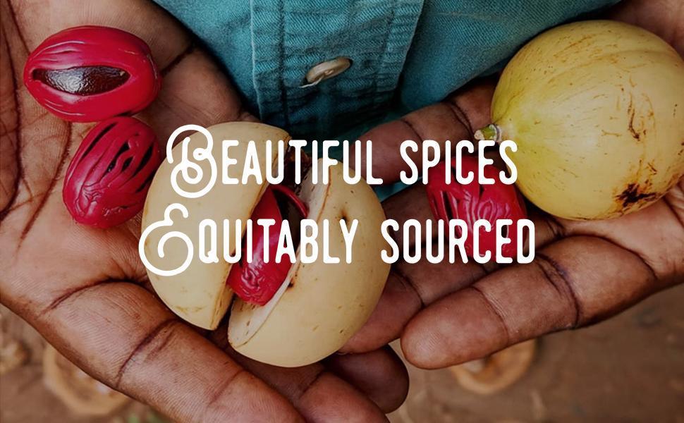 Jane Goodall Collection – Burlap & Barrel