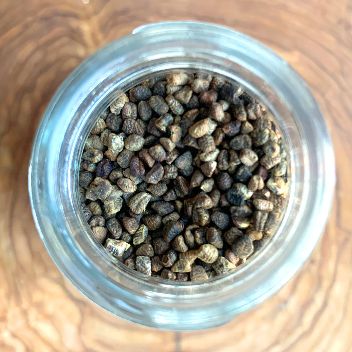 Cloud Forest Cardamom Seeds – Burlap & Barrel