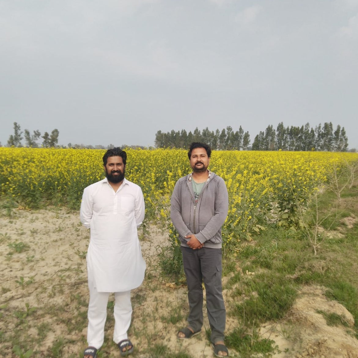 Aravali Black Mustard – Burlap & Barrel